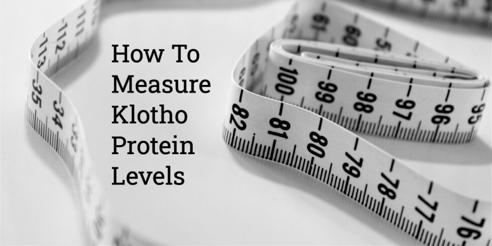 Boosting Your Longevity: Measuring and Enhancing Klotho Protein Levels ...